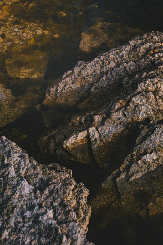 Moemärgi EERIN reis läbi nelja aastaaja - Portail